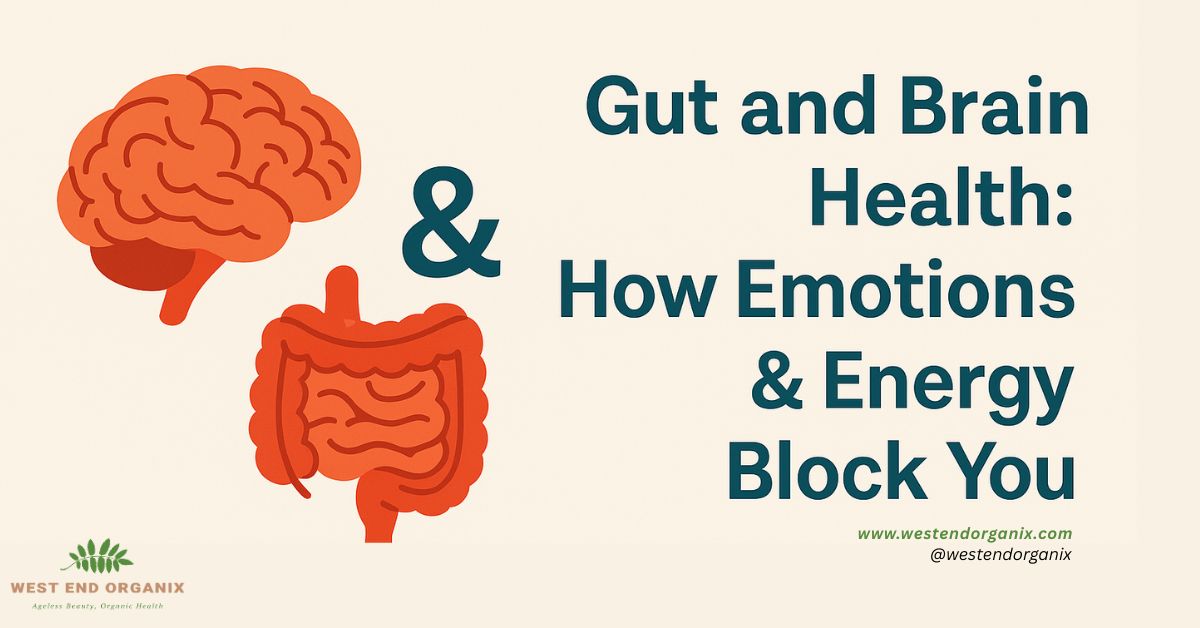 Gut and Brain Health: How Emotions & Energy Block You – The Emotional ...